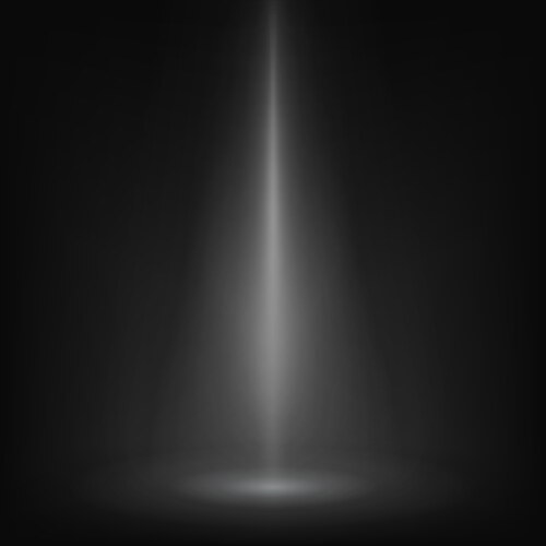 Spotlight Royalty Free Vector Image - VectorStock