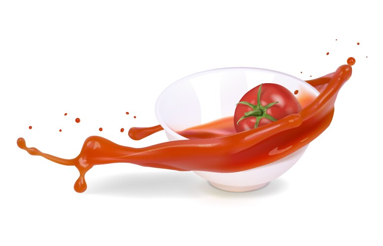 Tomato ketchup swirl splash with red sauce drops Vector Image