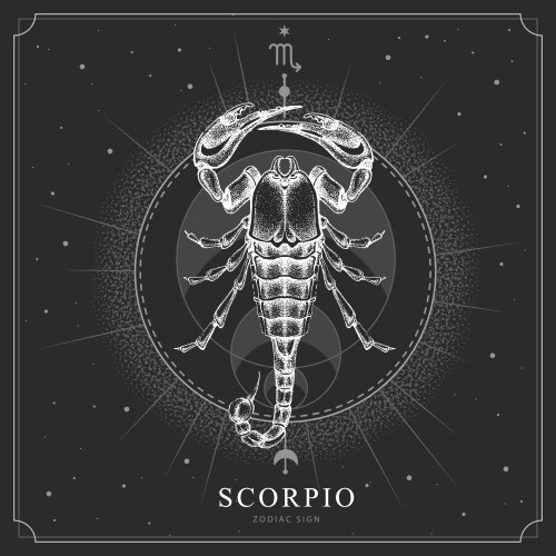 Magic witchcraft card with scorpio zodiac sign Vector Image