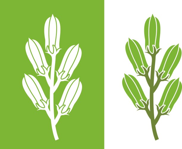 Sesame Royalty Free Vector Image - VectorStock