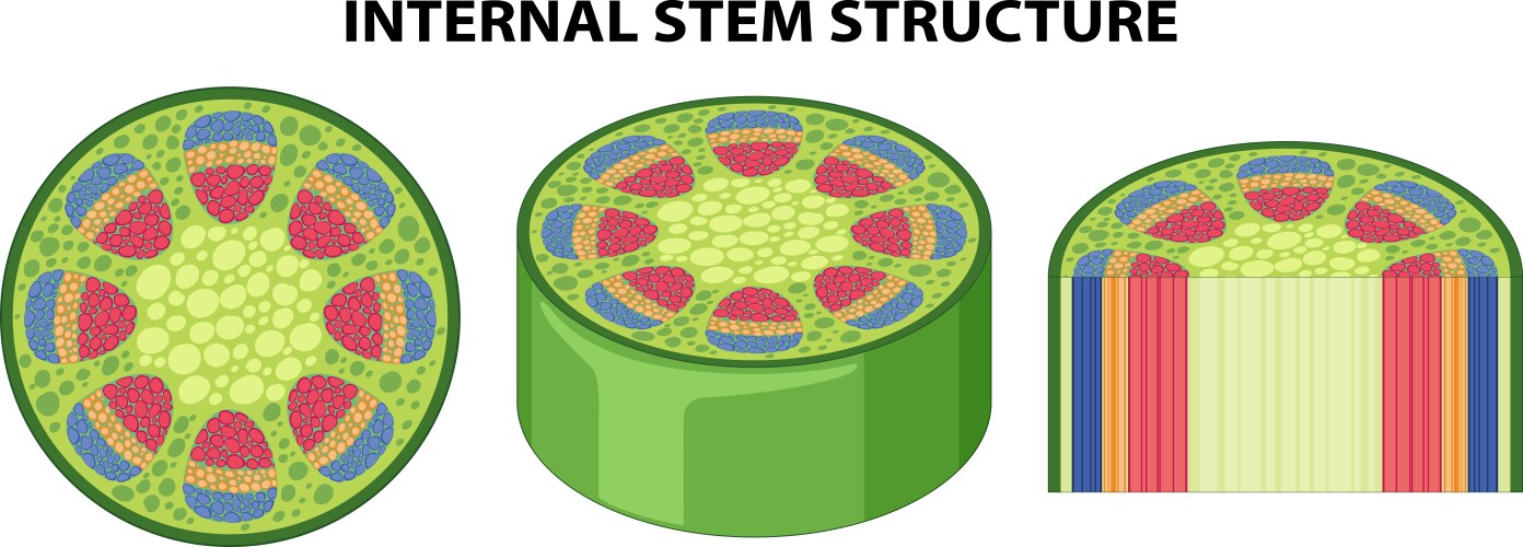 Internal Vector Images (over 490,000)