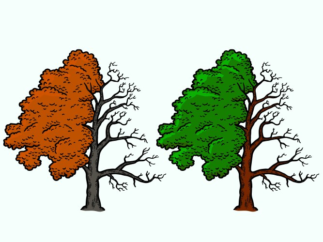 Half Tree Vector Images (over 6,400)