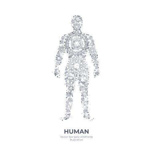 Line Drawing Body Vector Images (over 40,000)