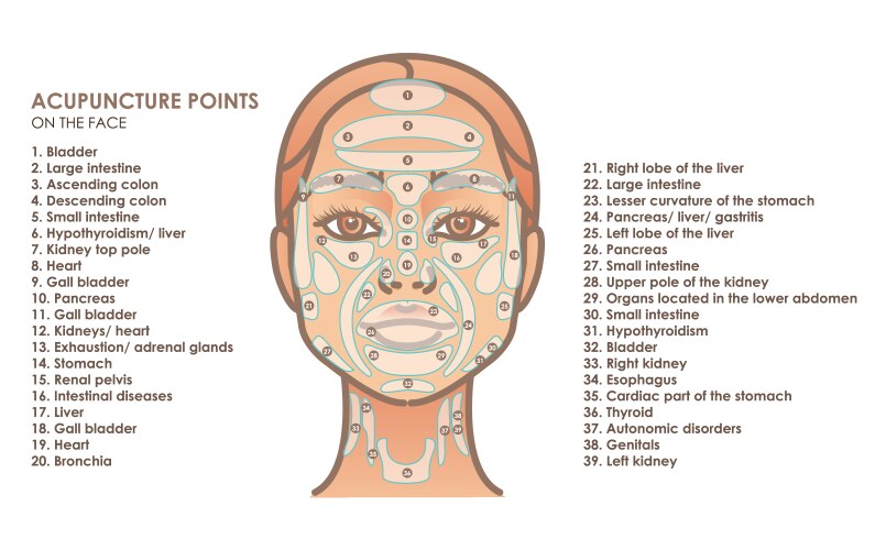 Acupuncture Royalty Free Vector Image - VectorStock