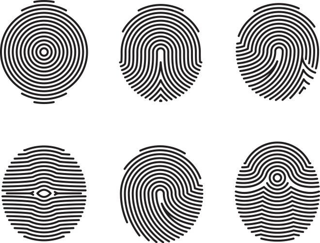 Seamless pattern in fingerprint style curved Vector Image