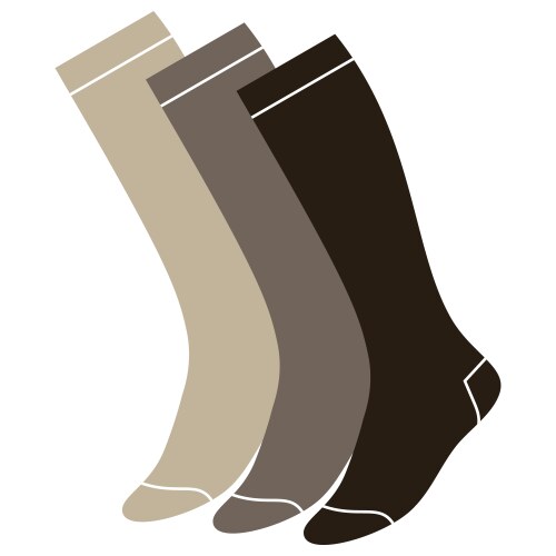 Long sock Royalty Free Vector Image - VectorStock