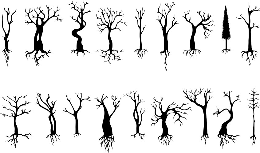 Tree Roots Black and White Vector Images (over 9,500)