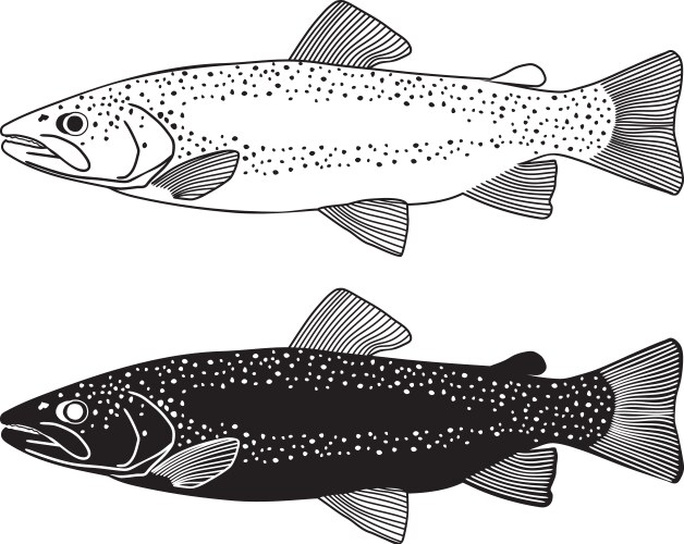 Trout Vector Images (over 13,000)