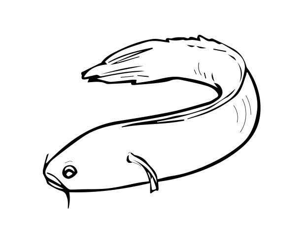 Crab line art Royalty Free Vector Image - VectorStock