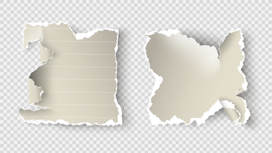 Realistic set vintage torn sheet notebook paper Vector Image