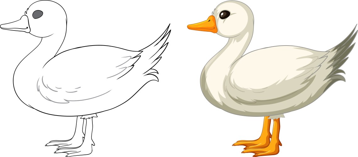 Duck Side View Vector Images (over 250)