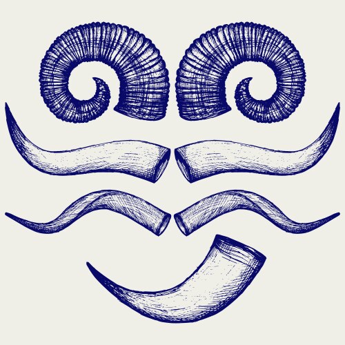 Deer horns Royalty Free Vector Image - VectorStock