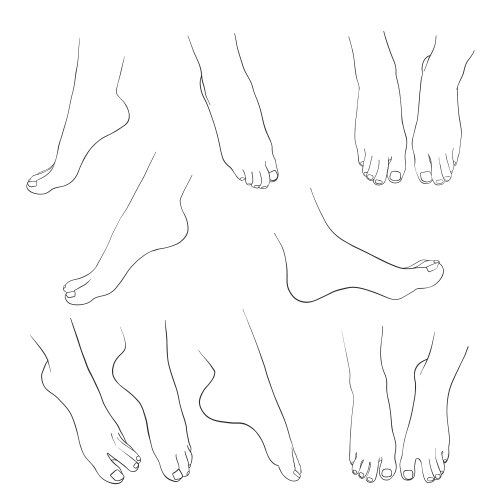 Feet drawings Royalty Free Vector Image - VectorStock