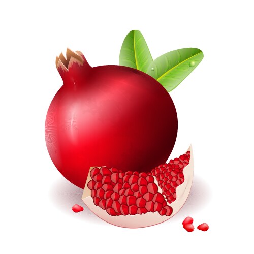 Pomegranate Vector Images (over 20,000)