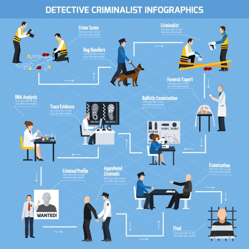 Crime scene flat infographics Royalty Free Vector Image