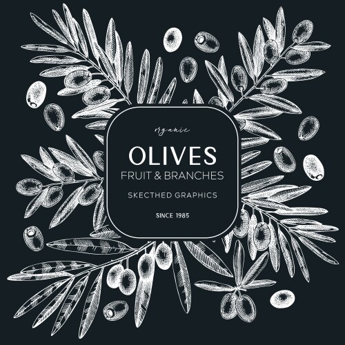 Olives frame design olive tree branches sketches Vector Image