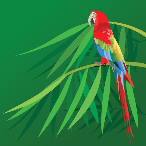 Parrot Vector Images (over 35,000)