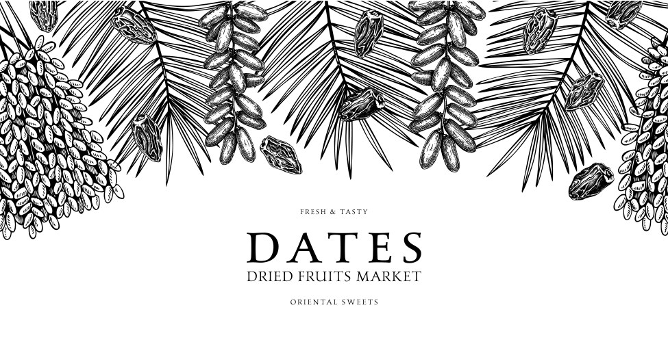 Dates hand drawn Royalty Free Vector Image - VectorStock