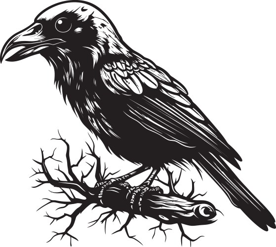 Outline Raven Vector Images (over 1,700)