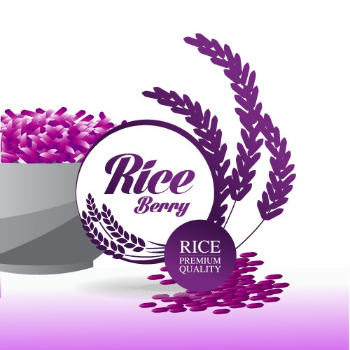 Rice2 Royalty Free Vector Image - VectorStock