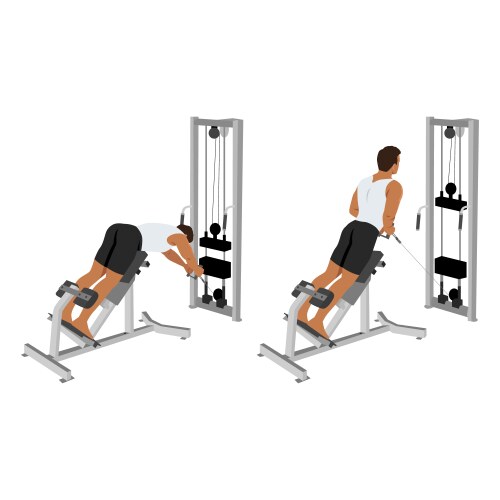 Seated Cable Row Vector Images (16)