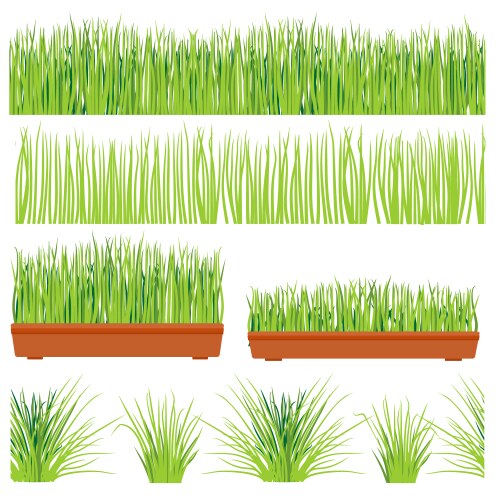 Environmental Border Vector Images (over 2,800)