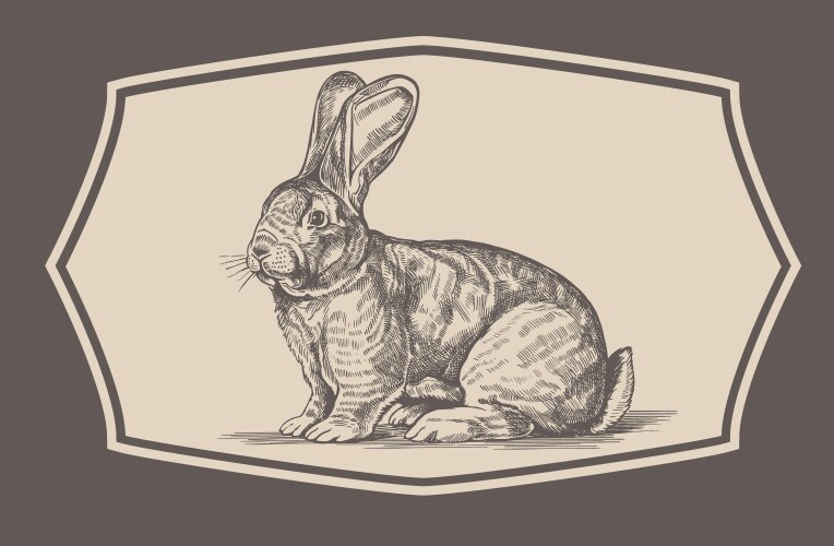 Vintage Rabbit Vector Images (over 20,000)