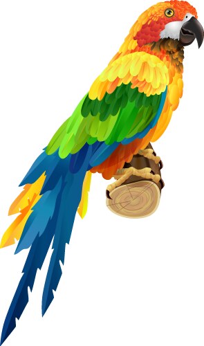 Ara parrot cartoon icon in flat design Royalty Free Vector