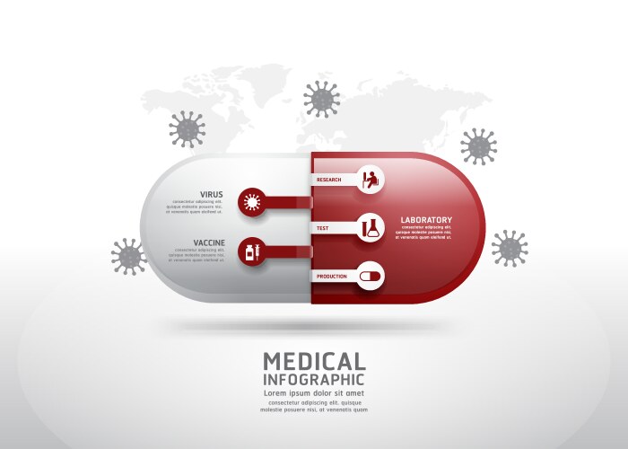 Viral replication infographic for education Vector Image