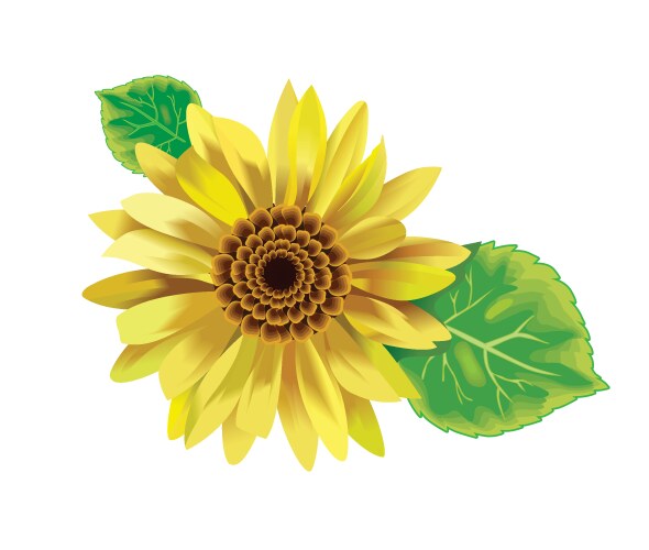 Sunflower Vector Images (over 53,000)