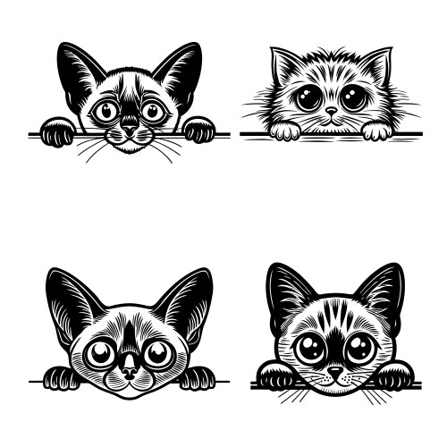 Cat Peeking Vector Images (over 1,100)
