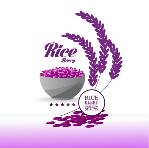 Rice2 Royalty Free Vector Image - VectorStock