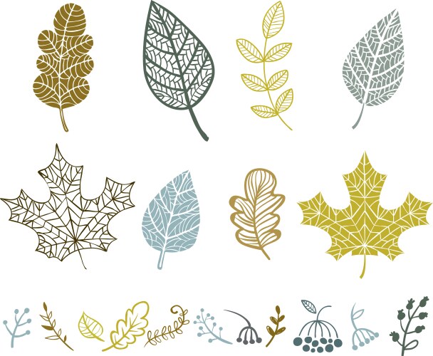 Detailed leaves Royalty Free Vector Image - VectorStock
