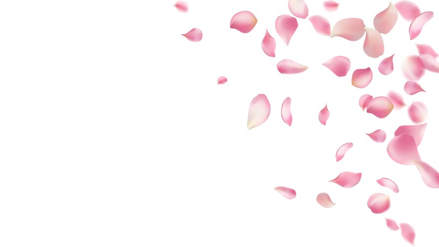 Flower Margin Vector Images (over 520)