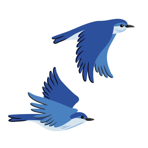 Drawing mountain bluebird Royalty Free Vector Image