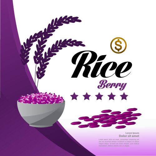 Rice2 Royalty Free Vector Image - VectorStock