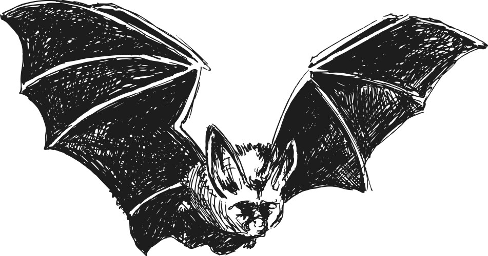 Bat Wing Vector Images (over 11,000)