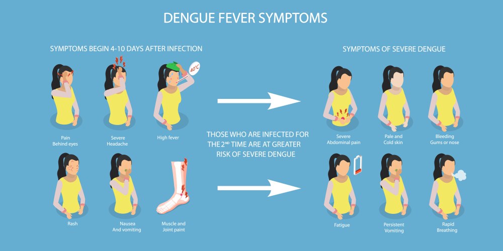 Dengue Fever Vector Images (over 2,100)