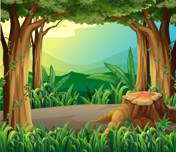 Cartoon forest landscape with plant and trees Vector Image