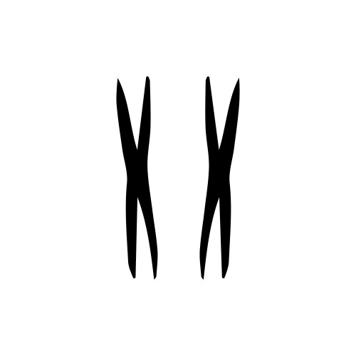 Parrot Footprint Vector Images (over 320)