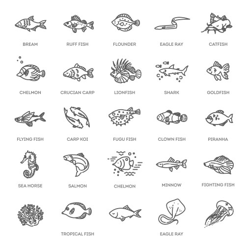 Catfish Outline Vector Images (over 590)