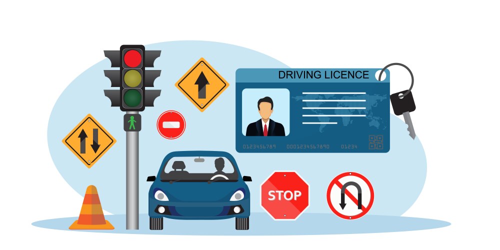 Driver License Vector Images (over 4,300)