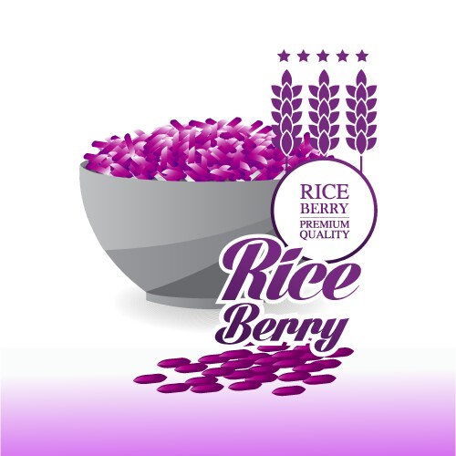 Rice2 Royalty Free Vector Image - VectorStock