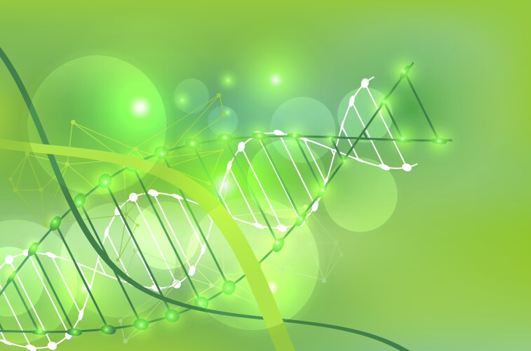 Science concept Royalty Free Vector Image - VectorStock