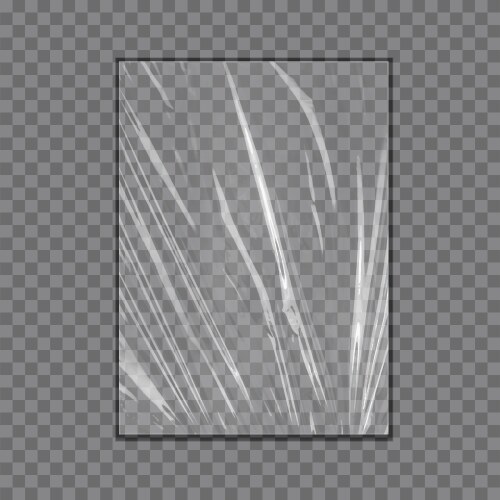 Realistic plastic wrap texture polyethylene cover Vector Image