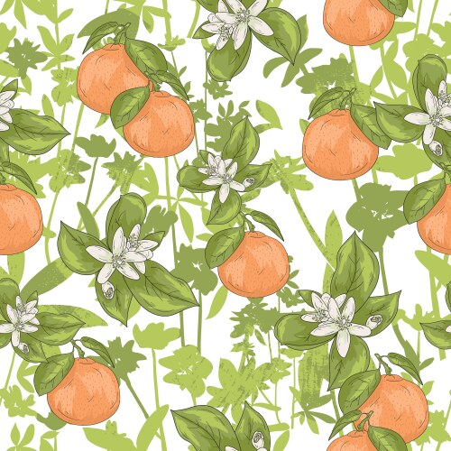 Citrus Vector Images (over 99,000)