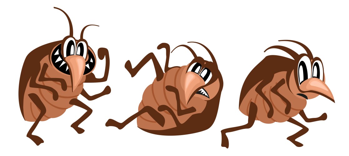 Bed bug funny cartoon isolated Royalty Free Vector Image