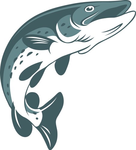 Fish pike Royalty Free Vector Image - VectorStock