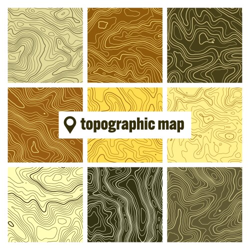 Colorful topographic map with contour lines Vector Image