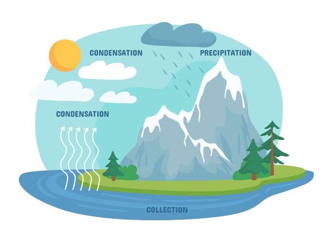 Transpiration Vector Images (over 410)